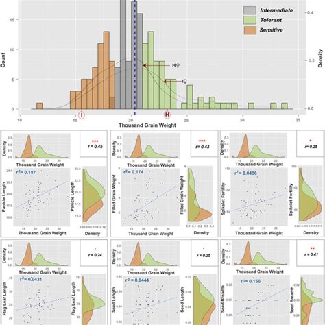 Phenotypes Of The Reciprocal Population And Selected Sensitive And