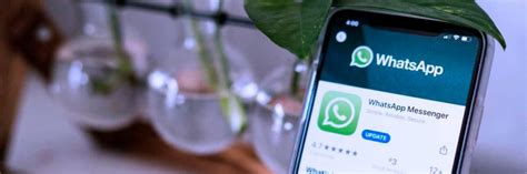 Como Recuperar Figurinhas Do WhatsApp Stickers Perdidos