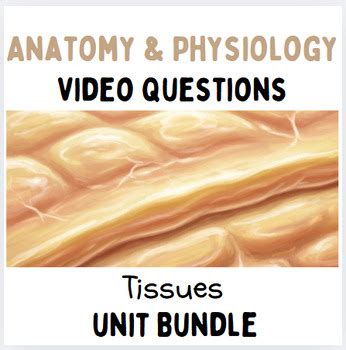 NO PREP SELF GRADING Anatomy Physiology Tissues Unit Video Questions