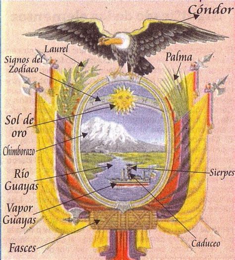 Simbolos Patrios De Ecuador Imagenes Historia Y Significado Todo Images