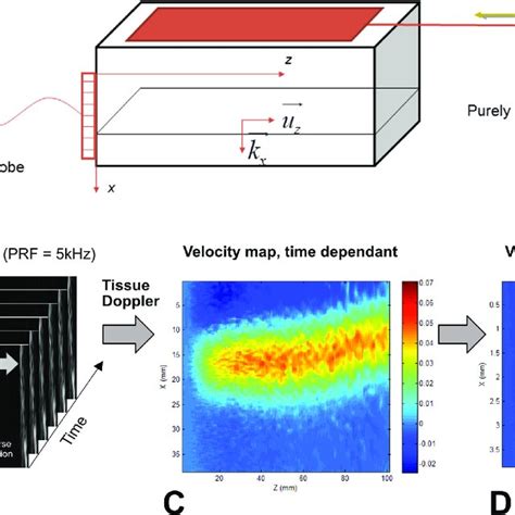 Main Elastography Methods In Strain Elastography Or Quasi Static Download Scientific Diagram