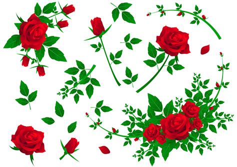 Rose Vector Art At Bridget Mireles Blog