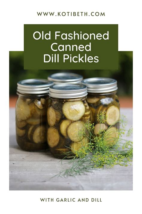 Old Fashioned Dill Pickle Recipe Plus Directions For Canning Homemade