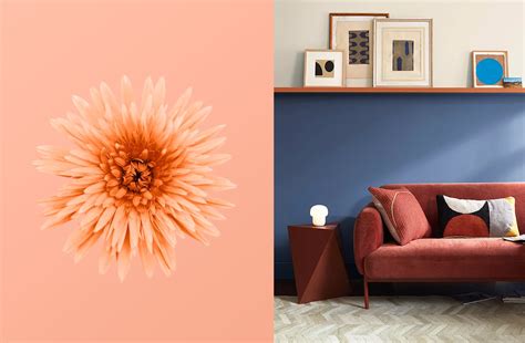 Модные цвета в интерьере 2024 разбираемся в новых трендах