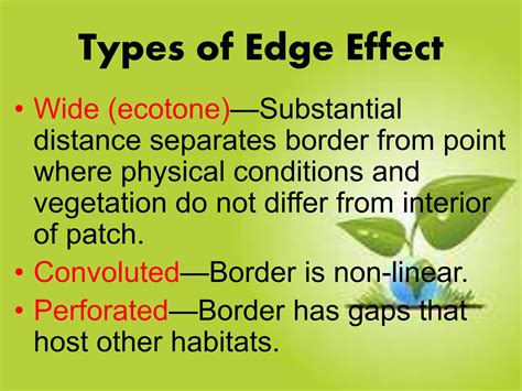 Ecotone And Edge Effects And Ecological Succession Pptx