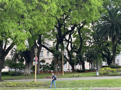 Reading Wandering And Wondering In Buenos Aires The West Australian