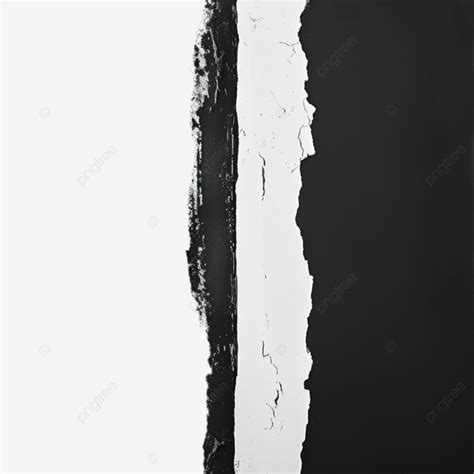 검은색 구분선 구분선 아름다운 구분선 선 Png 일러스트 및 이미지 에 대한 무료 다운로드 Pngtree