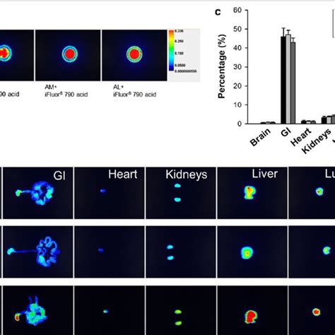 Ex Vivo Bioimaging Of Organs Of The Mice Receiving Intravenous Iflour Download Scientific