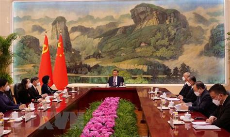 越共中央政治局委员中央书记处常务书记中组部部长张氏梅会见中共中央总书记中国国家主席习近平