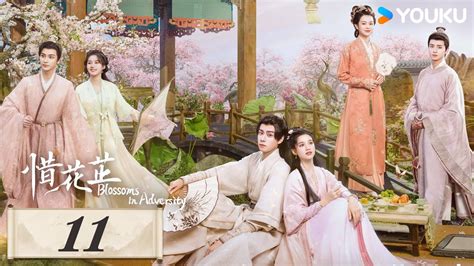 Multisub【惜花芷🌼blossoms In Adversity】ep11 胡一天张婧仪，落魄贵女逆风翻盘，共赴新生活！ 胡一天张