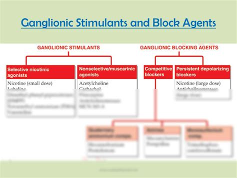 Solution Pharmacological Classification Of Drug1 Exam Studypool