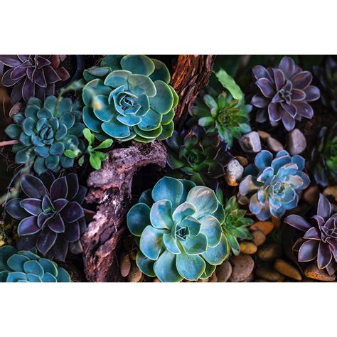 緑の葉とオレンジ色の花 ジグソーパズル 1000ピース ジグソーパズル通販専門店【jpuzz】