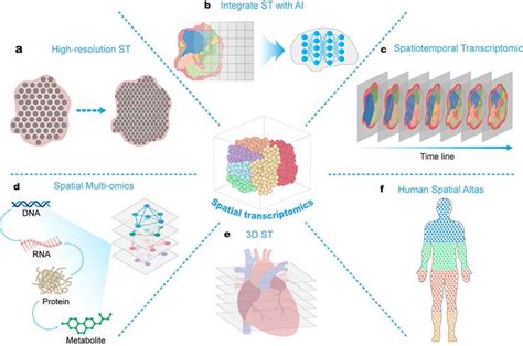 Spatial Transcriptomics: A Powerful Tool in Disease Understanding and ...