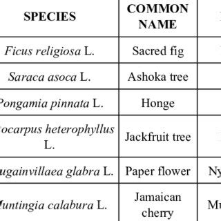List Of Tree Species Selected For Study Download Scientific Diagram