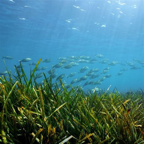 Ørsted On Linkedin Starboard Wind Is Setting The Future In Motion Creating A Lasting Legacy