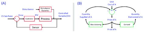a schematic depicting the analogy of feedback control loops a in