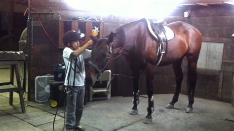 Ludovic HarrissonÉquitation Ludo 4 Youtube