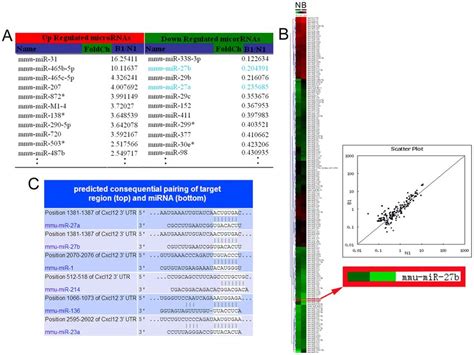 Microarray Based Mirna Expression Profiling And Bioinformatics A The
