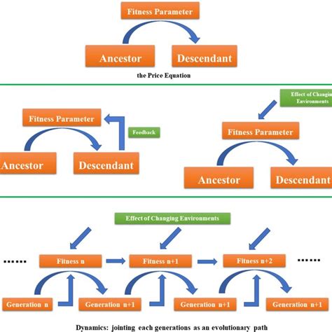 the price equation and the evolutionary trajectory a the price