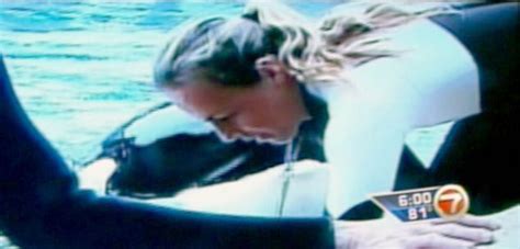 Sea World Killer Whale Shamu Kills Trainer Dawn Brancheau Daily Mail