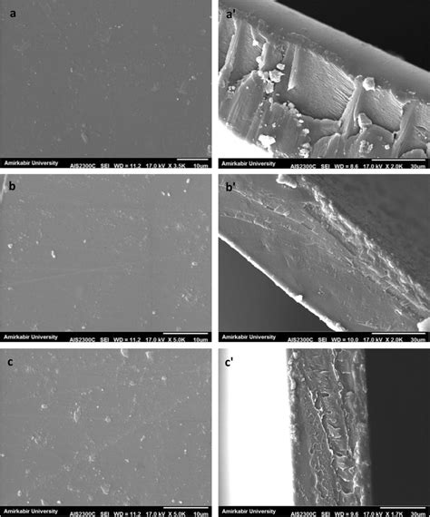 Surface Left And Cross Sectional Right View Of SEM Images For Pure