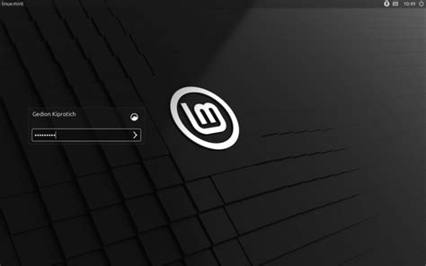 How To Install Linux Mint 22 Step By Step With Screenshots Cloudspinx