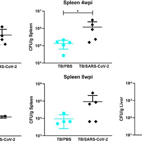 Sars Cov 2 Superinfection Results In Increased Dissemination Of M