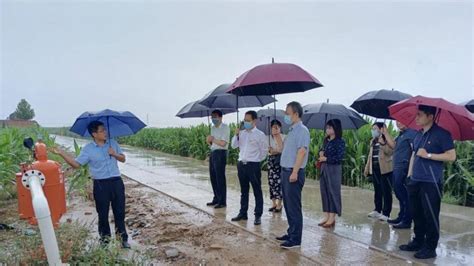 与新时代同行 助力乡村振兴河北省农资公司