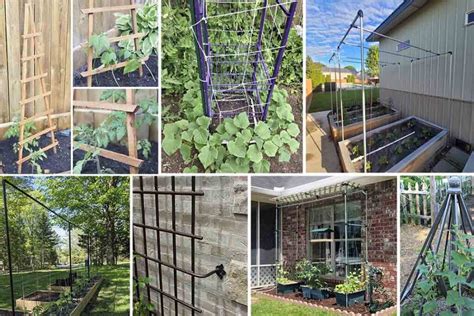 6 Diy Cucumber Trellis Ideas That Are Easy To Make