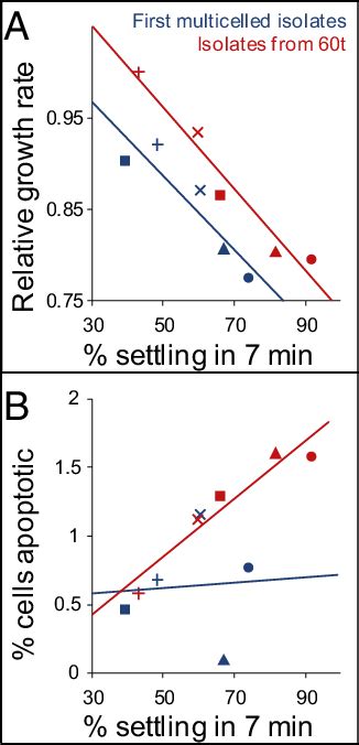Across Population Comparison Of Early Vs Late Snowflake Phenotype