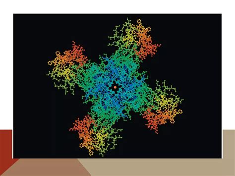 Cell Membrane Structure Function Week 5ppt