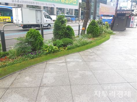 포토 도심 속 자투리 정원