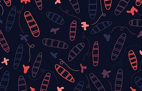 낙서 작품 낙서 삽화 것들 Png 일러스트 및 벡터 에 대한 무료 다운로드 Pngtree