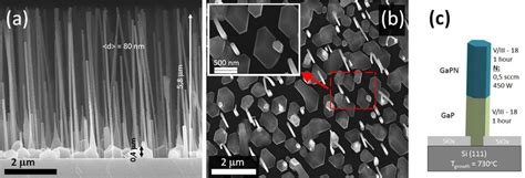 a in plane sem image and b top view sem image of as grown nw array c