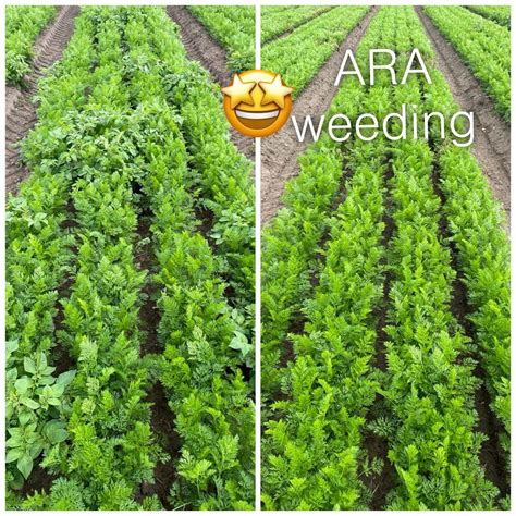 Ara Ecorobotix Precisionfarming Weedcontrol Sustainableagriculture Ecorobotix