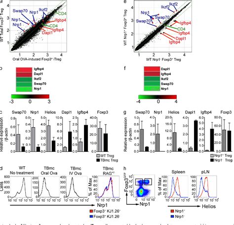 Neuropilin 1 Semantic Scholar