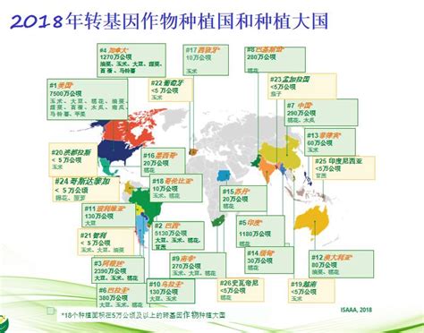Isaaa发布报告：转基因作物种植23年，种植面积增加约113倍手机新浪网