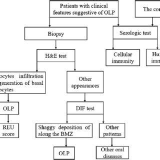 Diagnostic Algorithm For Oral Lichen Planus And Testing Process For All Download Scientific