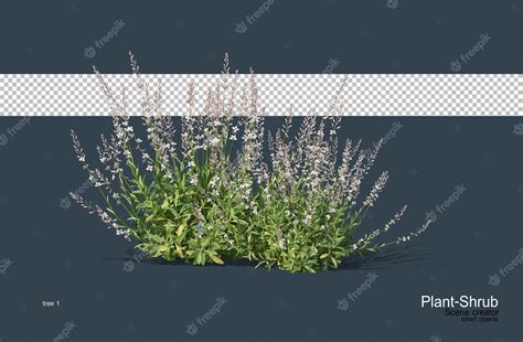 Premium Psd Shrubs And Flowers In The Garden