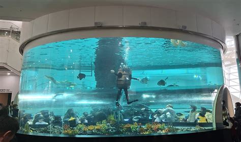 부산 국립해양박물관 방문 후기