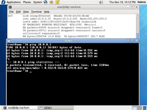 Fedora 12 KVM QEMU Bridge Networking Server World