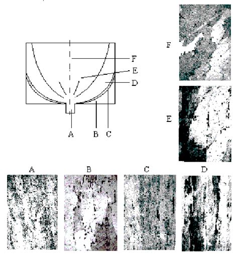 Evolution Microstructure During Hot Extrusion Process Download