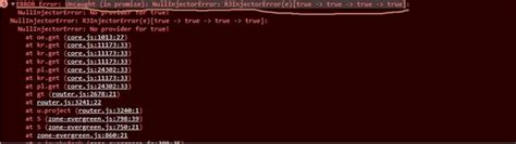 What On Earth Is This Nullinjectorerror No Provider For True Rangular2