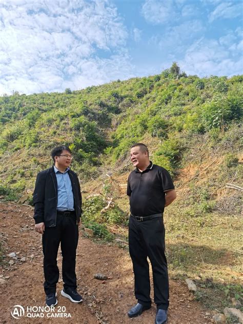 董事长陈鹏到封开县林区调研指导工作