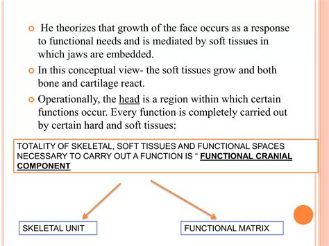 Functional Matrix Theory Pptx Bone And Joint Conditions Diseases And Conditions Functional Matrix Theory Pptx Bone And Joint Conditions Diseases And Conditions
