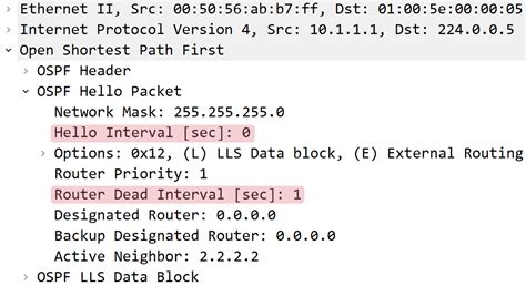 Ospf Fast Hello ゆるふわねっとわーく