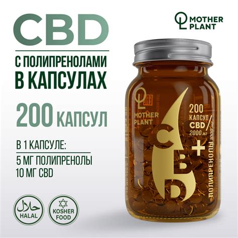 Масло CBD с полипренолами в капсулах (200 капсул по 10 мг), Motherplant ...