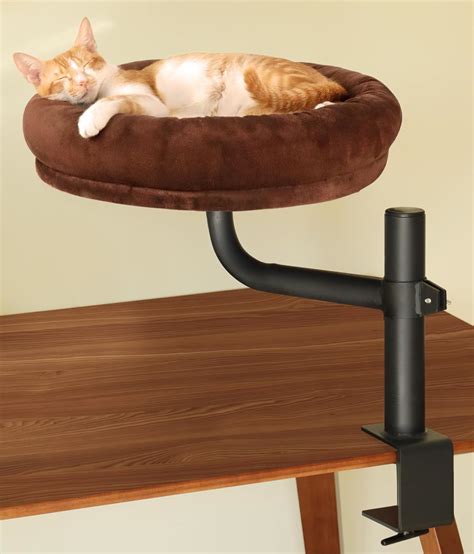 Stohot Desk Cat Bed For Indoor Cats Large Cat Kitten Bed