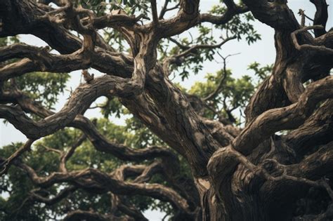 Premium Photo Botanical Beauty Captivating Closeup Of Tree In