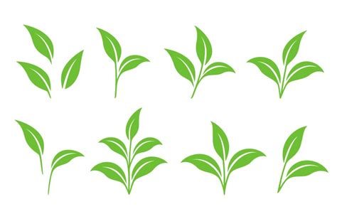 Sprig With Green Leaves Royalty Free Vector Image